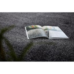 ANDIAMO Teppichboden &raquo;Portland, Velours, Gesamth&ouml;he 11 mm, Made in Netherlands&laquo; rechteckig Uni Farben, Breite 400 cm, Wohnzimmer, strapazierf&auml;hig, 
