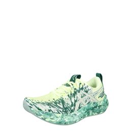 asics Laufschuh 'Noosa Tri 16' Herren Gr&ouml;&szlig;e 47 grau / hellgr&uuml;n / dunkelgr&uuml;n