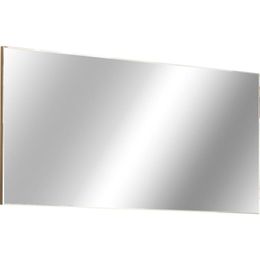 M&auml;usbacher Garderobenspiegel &raquo;Debra&laquo; silber B/H/T: 118cm x 60cm x 2cm