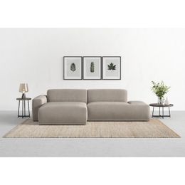 Trendmanufaktur Ecksofa &raquo;Braga, mit hochwertigem Kaltschaum, L-Form, in Cord erh&auml;ltlich&laquo; modernes Sofa, Couch mit hohem Sitzkomfort, 275/72/160 cm (B/