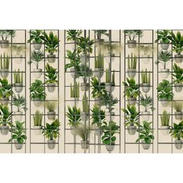 Livingwalls living walls Fototapete &raquo;Walls by Patel Plant Shop&laquo; glatt Vlies, Wand gr&uuml;n Vlies B/L: 4m x 2,7m
