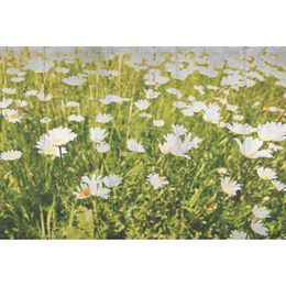 ARCHITECTS PAPER Fototapete &raquo;Flower Concrete&laquo; Vlies, Wand, Schr&auml;ge bunt Vlies B/L: 4m x 2,7m