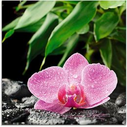 Artland Glasbild &raquo;Rosa Orchidee auf schwarzen Zen Steinen&laquo; Blumen 1 Stk. tlg. in verschiedenen Gr&ouml;&szlig;en pink B/H/T: 20cm x 20cm, Glasbild Blumen, 1 Stk.