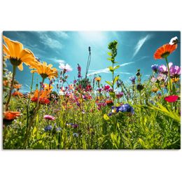 Artland Wandbild &raquo;Buntes Blumenfeld&laquo; Blumenwiese 1 Stk. tlg. als Alubild, Leinwandbild, Poster in verschied. Gr&ouml;&szlig;en bunt B/H/T: 60cm x 40cm, Leinwandbild 