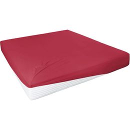 Primera Spannbettlaken &raquo;Elasthan-Feinjersey&laquo; PREMIUM, aus 95% gek&auml;mmter Baumwolle und 5% Elasthan, bis 28 cm H&ouml;he rot Jersey-Elasthan, Obermaterial: 95% 