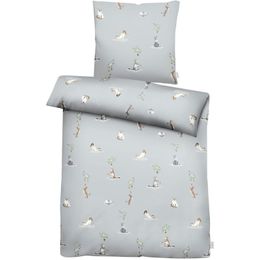 Apelt Bettw&auml;sche &raquo;Cats&laquo; 2 Stk. Katzenmotive grau Satin (Bio-Baumwolle), Obermaterial: 100% Baumwolle B/L: 155cm x 220cm, 1 Stk., 1 Stk., Satin (Bio-