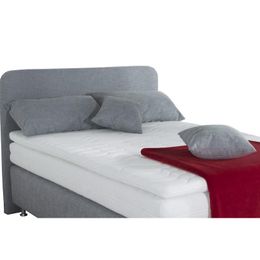 Westfalia Schlafkomfort Dekokissen (4-tlg.) grau Polyester B/L: 40cm x 40cm, 4 Stk.