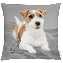 Apelt Dekokissen &raquo;Alfi&laquo; grau Obermaterial: 70% Polyester, 30% Baumwolle. F&uuml;llung: 100% Polyester B/L: 46cm x 46cm, 1 Stk.