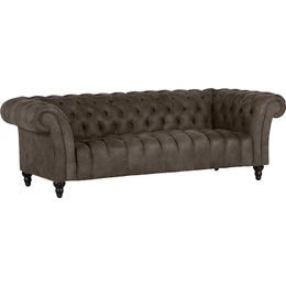 GUTMANN FACTORY Big-Sofa &raquo;Amazonas, Sofa mit Anilinleder-Bezug, Breite 230 cm&laquo; Sitzpolsterung: formstabiler Poly&auml;therschaum auf Wellenunterfederung grau B/H/T: 230cm 