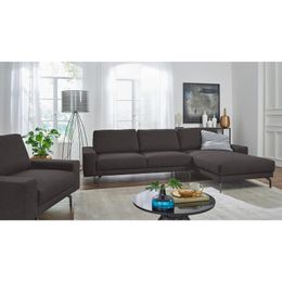 Creation BY ROLF BENZ Ecksofa &raquo;CR.450, Designecksofa, L-Form&laquo; Armlehne breit und niedrig, Alugussf&uuml;&szlig;e in umbragrau, Breite 274 cm braun Luxus-