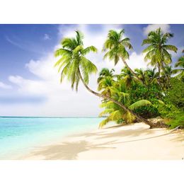 papermoon Fototapete &raquo;Beach in the South Seas&laquo; glatt bunt Vlies B/L: 2m x 1,49m, Bahnen: 4 Stk.