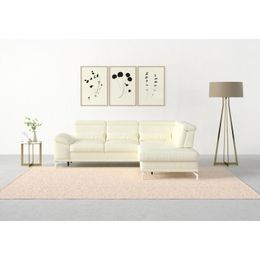 Sit & More sit&more Ecksofa &raquo;Cabrio L-Form, B: 274 cm, mit Sitztiefen-, Arm- & Kopfteilverstellung&laquo; 3 Nierenkissen, Federkern, optional Schlaffunktion und 