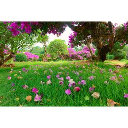 papermoon Fototapete &raquo;Rasenblumen&laquo; bunt Vlies B/L: 3m x 2,23m, Bahnen: 6 Stk.