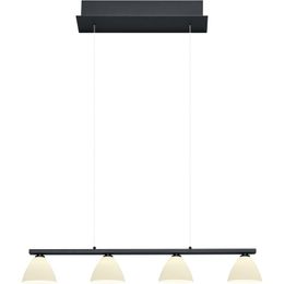HELL h&ouml;llisch gutes Licht LED Pendelleuchte &raquo;MONA&laquo; LED-Modul 1 Stk. Warmwei&szlig; Tastdimmer, Stufenlos h&ouml;henverstellbar schwarz 4, 1 Stk.