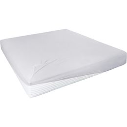 Primera Spannbettlaken &raquo;Elasthan-Feinjersey&laquo; PREMIUM, aus 95% gek&auml;mmter Baumwolle und 5% Elasthan, bis 28 cm H&ouml;he grau Jersey-Elasthan, Obermaterial: 95% 