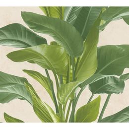 Livingwalls living walls Vliestapete &raquo;Metropolitan Stories, Antonio Barcelona&laquo; botanisch floral tropisch leicht strukturiert Tapete Blumen Tapeten Wohnzimmer 