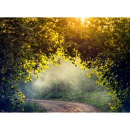 papermoon Fototapete &raquo;Misty Forest in Spring&laquo; glatt bunt Vlies B/L: 3,5m x 2,6m, Bahnen: 7 Stk.