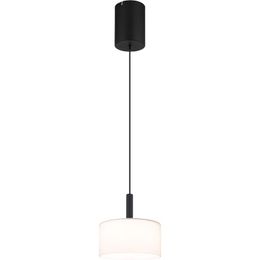 Globo LIGHTING LED Pendelleuchte &raquo;TRENTON&laquo; LED-Modul 1 Stk. H&auml;ngelampe/H&auml;ngeleuchte/Wohnzimmer/Esstisch/elegant 1 Stk.