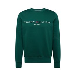 TOMMY HILFIGER Sweatshirt male size XXXL Navy / Dark green / Red / White