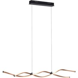 Paul Neuhaus Pendelleuchte &raquo;POLINA&laquo; LED-Board 1 Stk. Warmwei&szlig; festverbaute LED, stufenlos dimmbar &uuml;ber Wandschalter, warmwei&szlig; schwarz 2, 1 Stk.