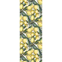 queence Vinyltapete &raquo;Zitronen&laquo; Motiv bedruckt botanisch floral gemustert nat&uuml;rlich glatt 90x250cm, selbstklebend, kinderleichte Anbringung,, Sticker 