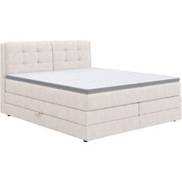 COTTA Boxspringbett &raquo;Fort II, in verschiedenen Breiten erh&auml;ltlich - auch als Familienbett!&laquo; inkl. Bettkasten und Topper beige 100% POLYESTER (PES) 