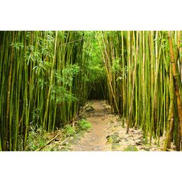 papermoon Fototapete &raquo;Bambuswald Hawaii&laquo; bunt Vlies B/L: 3m x 2,2m, Rollen: 1
