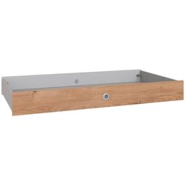 wimex Bettschubkasten &raquo;Gotland&laquo; f&uuml;r extra Strauraum braun Holzwerkstoff B/H/T: 71cm x 17cm x 137cm