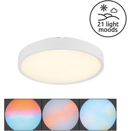 Globo LIGHTING Deckenleuchte &raquo;JESS&laquo; LED-Modul 1 Stk. Smarte Deckenleuchte, dimmbar, App-Steuerung, vielseitig wei&szlig; 1, &Oslash; 30cm H: 7,7cm, 1 Stk.