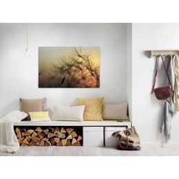 A.S. Cr&eacute;ation Leinwandbild &raquo;Flying Dandelion&laquo; Gem&auml;lde Kunst 1 Stk. tlg. Pusteblume Keilrahmen Leinwand-Bild Wohnzimmer modern Wandbild Kinder bunt Holz, Stahl B/H/T