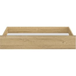 Bettschubkasten &raquo;Sofia&laquo; 1 Stk. tlg. Schublade auf Rollen gold Holzwerkstoff B/H/T: 137cm x 21cm x 70cm