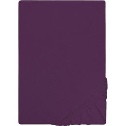 Biberna Spannbettlaken &raquo;Leila&laquo; Bettlaken aus 100% Baumwolle, f&uuml;r Matratzenh&ouml;hen bis 22 cm lila Jersey, Obermaterial: 100% Baumwolle B/L: 200cm, 1 Stk., Jersey