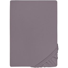 Biberna Spannbettlaken &raquo;Conny&laquo; hochwertiges Jersey-Elasthan geeignet f&uuml;r Wasser- und Boxspringbetten grau Jersey-Elasthan, Obermaterial: 95% Baumwolle, 5% 
