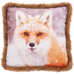 done. Dekokissen &raquo;Fox&laquo; Bedrucktes Kissen in feinem Samtstoff bunt Polyester B/L: 45cm x 45cm, 1 Stk.