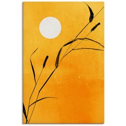 Artland Leinwandbild &raquo;Sonniger Tag&laquo; Pflanzenbilder 1 Stk. tlg. auf Holzrahmen gespannt gold Leinwand B/H/T: 40cm x 60cm, Leinwandbild Pflanzenbilder 