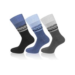 Normani Socks 'Company' male size 39/42 Mixed colors
