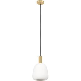 Eglo H&auml;ngeleuchte &raquo;MANZANARES Pendellampe, Stahl und Glas, E27, Esstischlampe, Lampe&laquo; E27 1 Stk. H&auml;ngelampe, H110 x &Oslash;22,5 cm, messing-geb&uuml;rstet, gold,