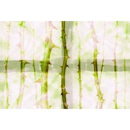 ARCHITECTS PAPER Fototapete &raquo;Atelier 47 Thorn Art 2&laquo; floral glatt Vlies, Wand, Schr&auml;ge, Decke gr&uuml;n Vlies B/L: 4m x 2,7m