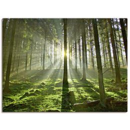 Artland Wandbild &raquo;Wald im Gegenlicht&laquo; Wald 1 Stk. tlg. als Leinwandbild, Poster in verschied. Gr&ouml;&szlig;en gr&uuml;n Leinwand B/H/T: 40cm x 30cm, Leinwandbild Wald 