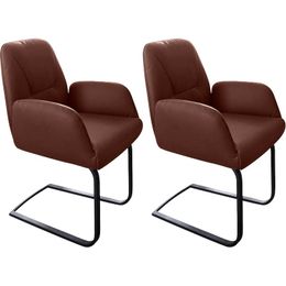 W.Schillig Freischwinger &raquo;ole&laquo; (Set) 2 Stk.2er- oder 4er-Set, Gestell in Schwarz pulverbeschichtet braun Longlife Xtra-Leder Z69: Das feinnarbige, 