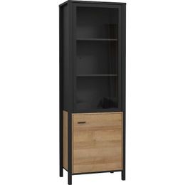 FORTE Vitrine &raquo;High Rock&laquo; H&ouml;he ca. 193 cm schwarz Dekorfolie, FSC -zertifizierter Holzwerkstoff Schwarz/ Riviera Eiche, B/H/T: 64,8cm x 193,9cm x 