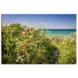 Artland Wandbild &raquo;Fr&uuml;hling an der K&uuml;ste in Ahrenshoop&laquo; 1 Stk. tlg. als Alubild, Leinwandbild, Poster, Wandaufkleber in verschied. Gr&ouml;&szlig;en blau B/H/T: 30cm x 