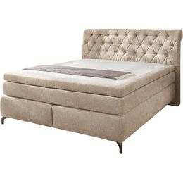 Jockenh&ouml;fer Boxspringbett &raquo;Scarlett mit einer hochwertigen 7-Zonen-Tonnentaschenfederkernmatratze&laquo; H3, H3/H4 oder H4, und einem 9cm Kaltschaum-Topper beige Bezug 