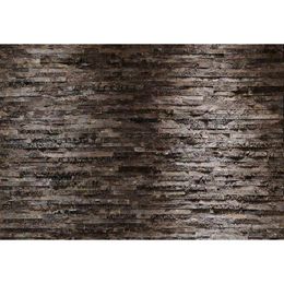 Komar Fototapete &raquo;Birkenrinde - Gr&ouml;&szlig;e 368 x 254 cm&laquo; bedruckt glatt Wohnzimmer, Schlafzimmer braun Papier B/L: 368m x 254m, Rollen: 8