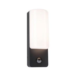 Paulmann LED Au&szlig;en-Wandleuchte &raquo;Bonnie IP44 93x77mm 3000K 8,5W 560lm 230V Anthrazit Aluminium&laquo; 1 Stk. Warmwei&szlig; Bewegungsmelder grau 1, H: 26,3cm, 1 Stk.