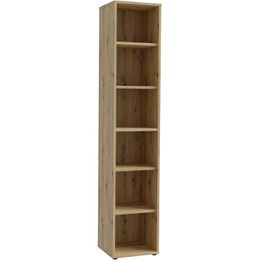 FORTE Aktenregal &raquo;Goldsboro&laquo; mit 6 offenen F&auml;chern, unterschiedliche Breiten, H&ouml;he 226,5 cm braun Holzwerkstoff B/H/T: 44,8cm x 226,5cm x 41,5cm, 6 