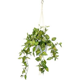 I.GE.A. Kunstpflanze &raquo;Tradeskantie&laquo; Tradescantiah&auml;ngeampel gr&uuml;n Obermaterial: 80% Polyester, 20% Kunststoff B/H/L: 45cm x 83cm x 30cm, 1 Stk.