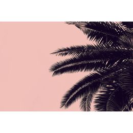 Livingwalls living walls Fototapete &raquo;ARTist Palm Tree&laquo; Vlies, Wand, Schr&auml;ge rosa Vlies B/L: 4m x 2,7m