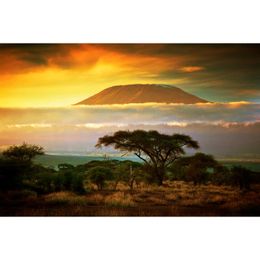 papermoon Fototapete &raquo;Mount Kilimanjaro and Clouds&laquo; glatt bunt Vlies B/L: 3,5m x 2,6m, Bahnen: 7 Stk.