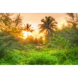 papermoon Fototapete &raquo;Amazing Jungle Sunrise&laquo; glatt bunt Vlies B/L: 5m x 2,8m, Bahnen: 10 Stk.